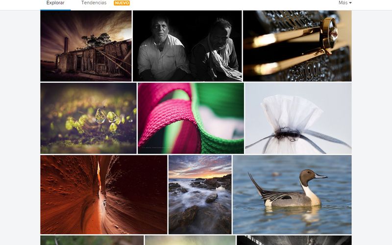 12 Imgur Alternatives: Similar Image Hosting Services 2023 | AlternativeTo