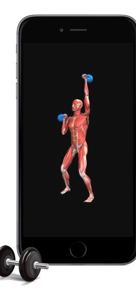 MuscleWiki Alternatives and Similar Apps & Services | AlternativeTo