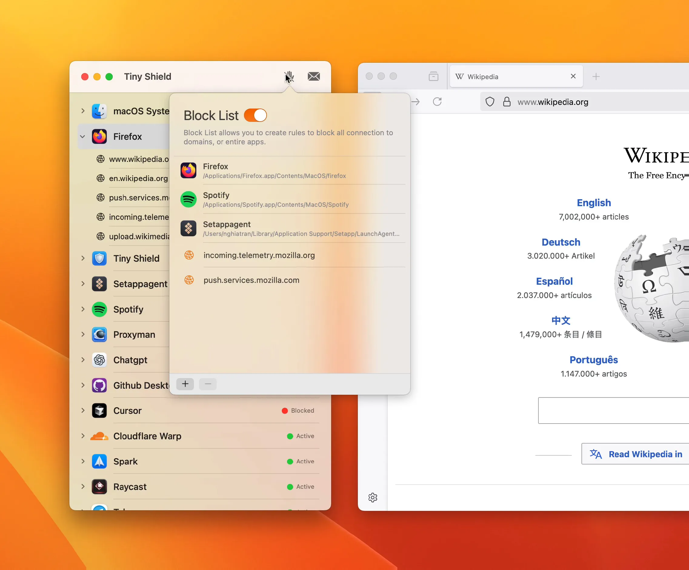 Tiny Shield: Keeps your network safe by watching all connections and stopping bad stuff ...