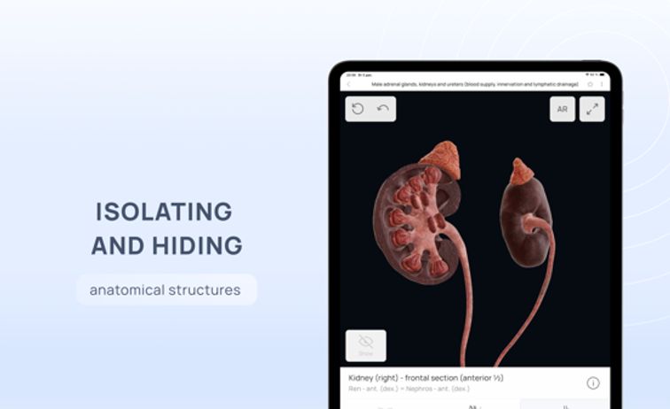 Essential Anatomy 5 Alternatives and Similar Apps | AlternativeTo