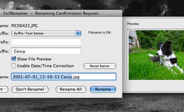 Picture Information Extractor Alternatives: Top 10 File Renamers ...