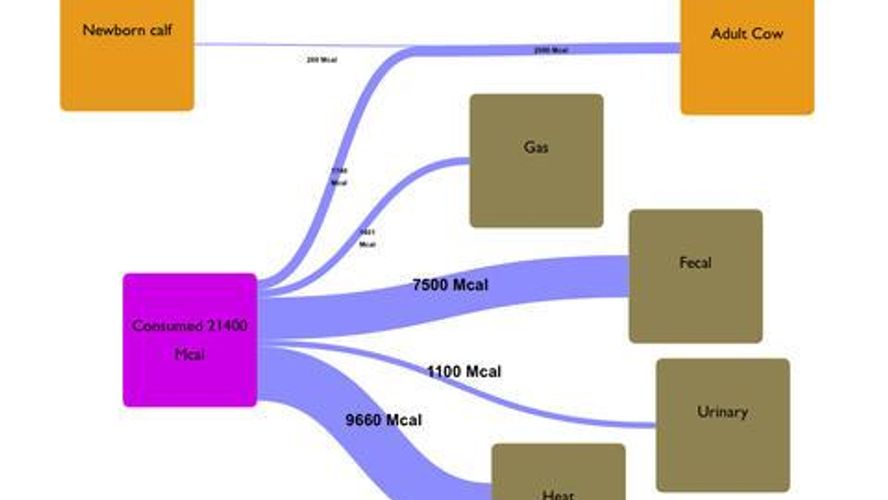 Sankey Diagram: Professional drawing tool to create Sankey | AlternativeTo