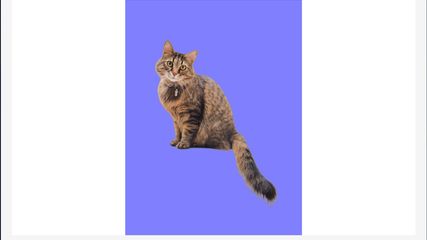 BG Remover: Our Offline AI-powered Background Remover Desktop ...