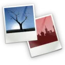 Best Picasa Alternatives: Top Photo Managers & Image Viewers in 2025 ...