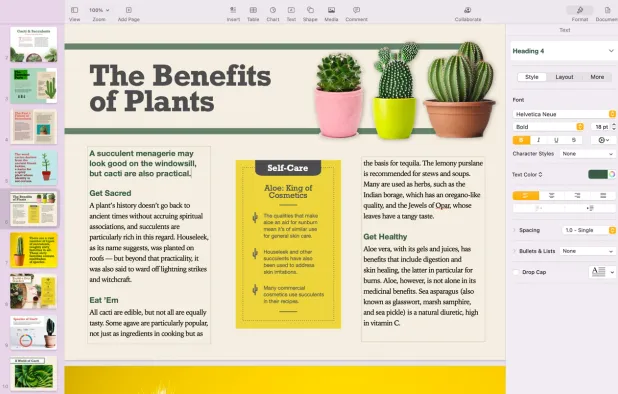 Best Microsoft Publisher Alternatives: Top Desktop Publishers in 2025 ...