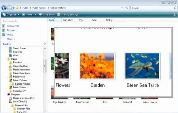 Virtual Magnifying Glass Alternatives: Top 20 Screen Magnifiers ...