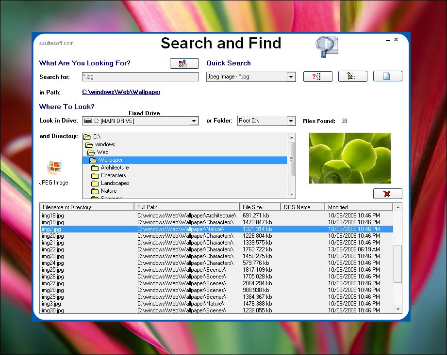 SSuite Desktop Search Engine Alternatives: Top 12 File Search Utilities ...