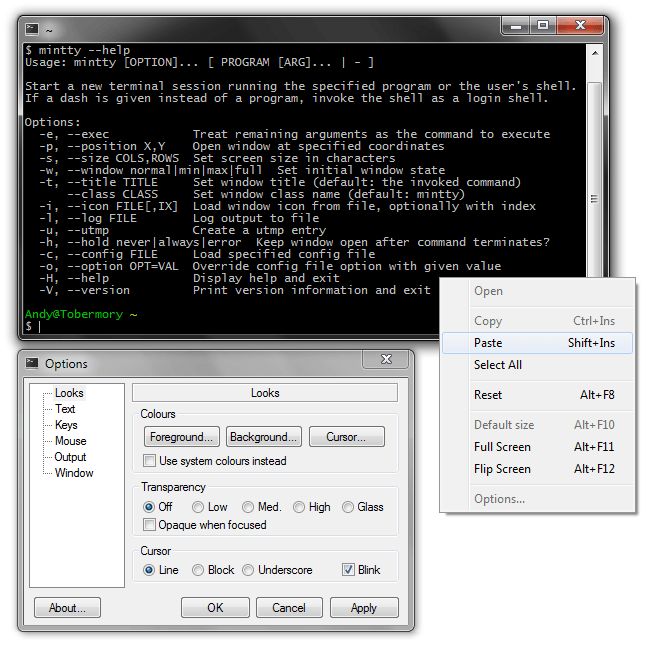 mintty: Reviews, Features, Pricing & Download | AlternativeTo