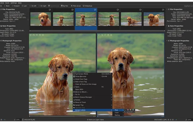 Great darktable Alternatives: Top Raw Photo Editors in 2025 | AlternativeTo
