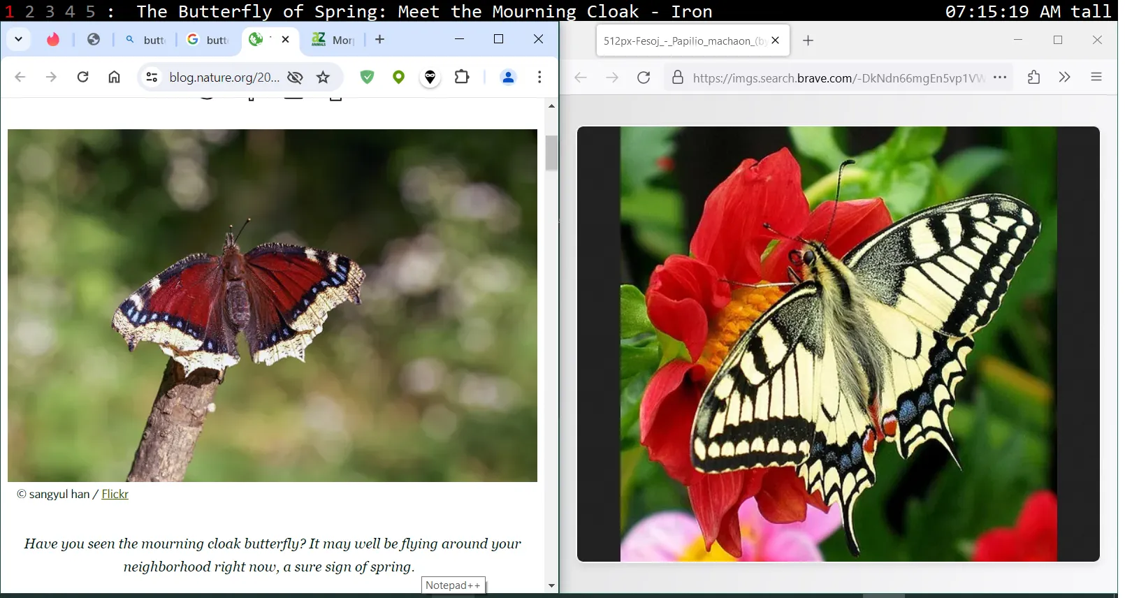 workspacer Alternatives: Top 9 Window Managers & Similar Apps ...