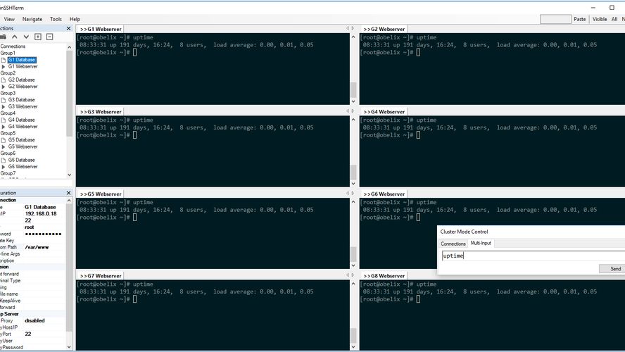 WinSSHTerm: A tabbed SSH solution for Windows, combining PuTTY, WinSCP ...