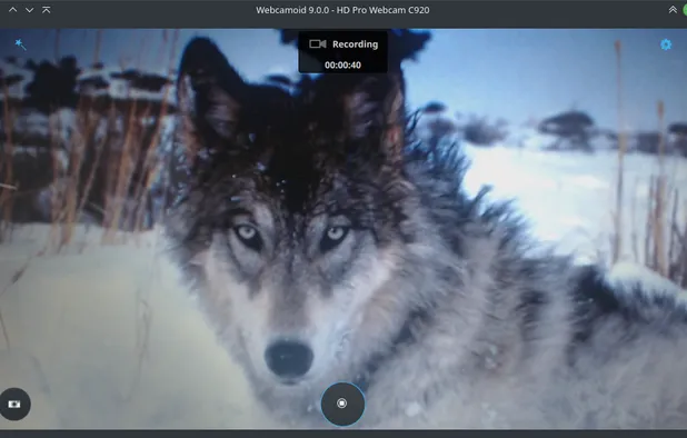 Snap Camera Alternatives: Top 13 Face Filter & Similar Apps | AlternativeTo