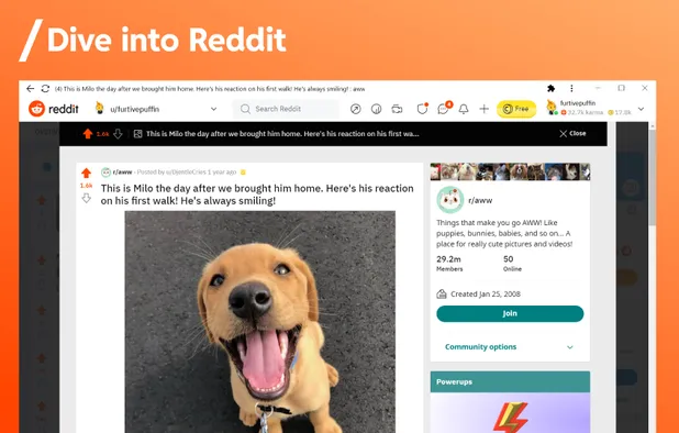 Infinity for Reddit+ Alternatives: Top 12 Reddit Clients | AlternativeTo