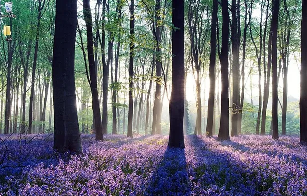 12 Best Classic Shell Alternatives: Top Similar Software in 2025 ...