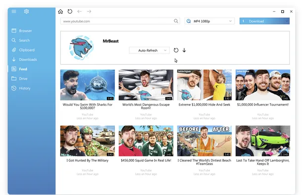 Viddly Alternatives: Top 12 Video & YouTube Downloaders from the EU ...