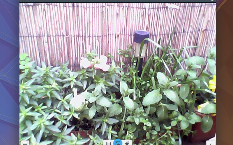 9 Great ManyCam Alternatives: Top Similar Apps in 2022 | AlternativeTo