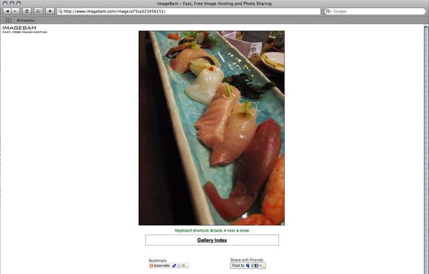 ImageBam: Free Image Hosting and photo sharing | AlternativeTo