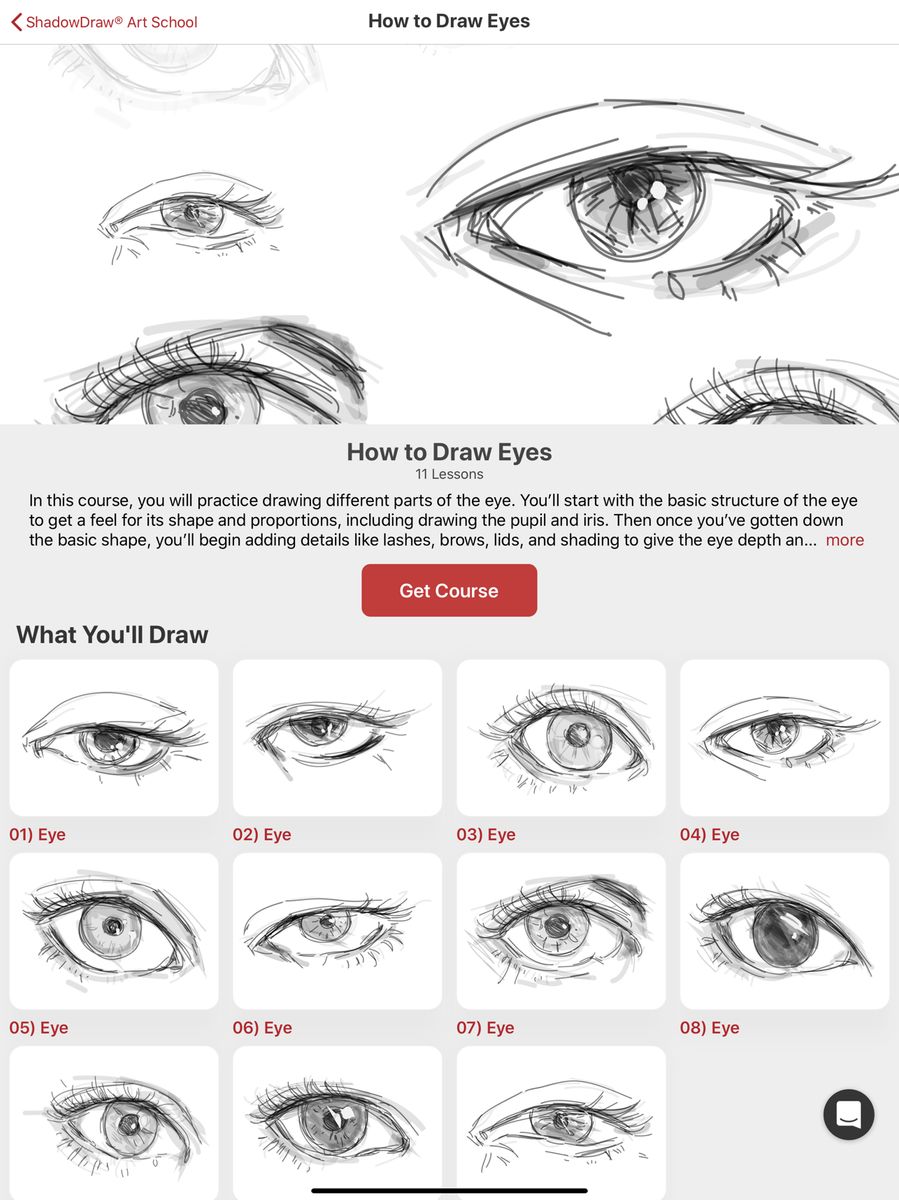 ShadowDraw Alternatives: Top 2 Digital Painting Tools and similar apps | AlternativeTo