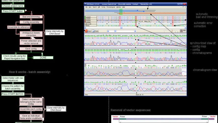 DNADynamo Alternatives and Similar Software | AlternativeTo