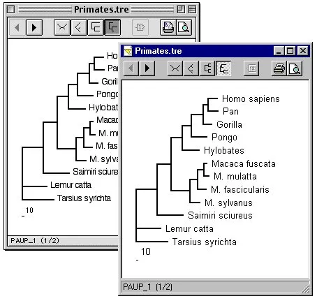 TreeView Alternatives and Similar Software | AlternativeTo