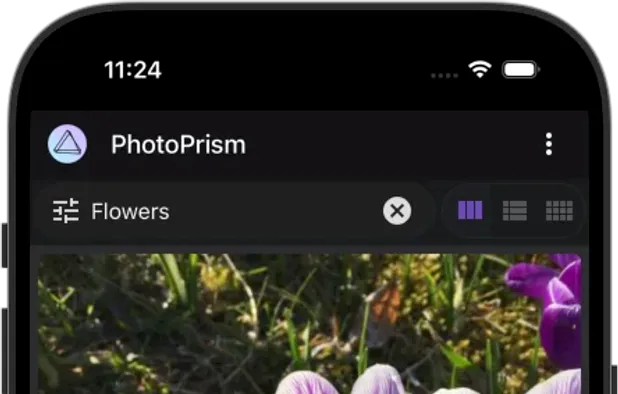 Great Flickr Alternatives: Top Photo Sharing Apps in 2025 | AlternativeTo