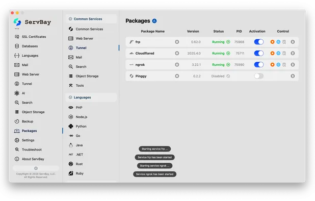 Best WampServer Alternatives: Top Web Servers in 2025 | AlternativeTo