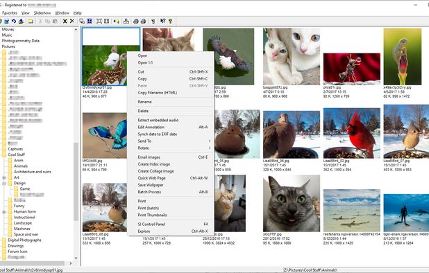 12 Great PureRef Alternatives: Top Image Viewers & Research Managers in ...