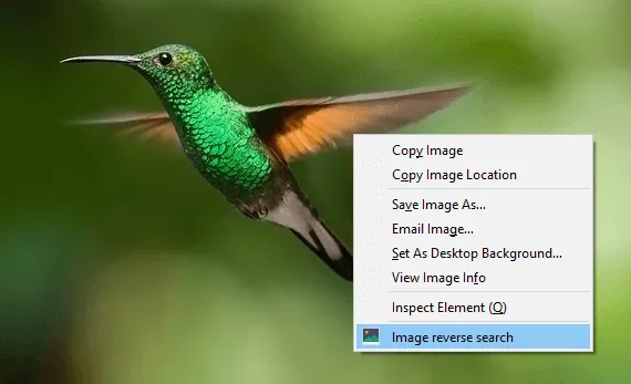 Reverse Image Search Alternatives: 25+ Image Search Engines & Similar ...
