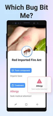 Picture Insect: Picture insect is an easy-to-use insect identifier tool ...