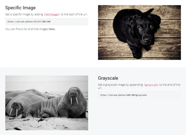 Lorem Picsum: Lorem Ipsum for photos, Lorem Picsum provides elegant placeholder images from ...