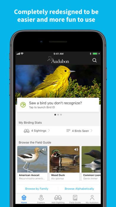 Audubon Bird Guide Alternatives and Similar Apps | AlternativeTo