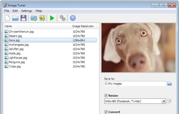 ImageMagick Alternatives: 25+ Image Optimizers | AlternativeTo