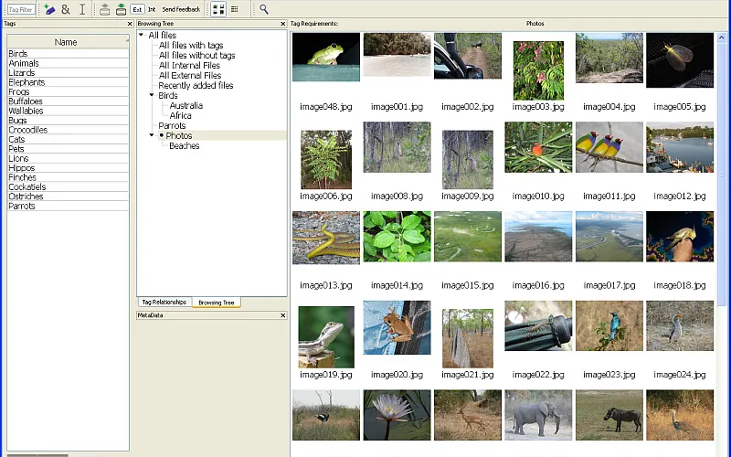 Tagging for Windows Alternatives and Similar Software | AlternativeTo