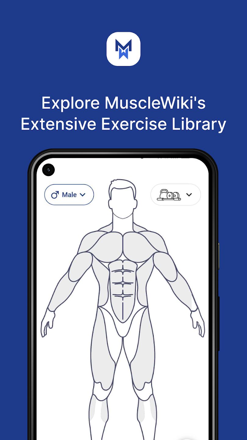 MuscleWiki Alternatives - Explore Similar Apps & Services | AlternativeTo