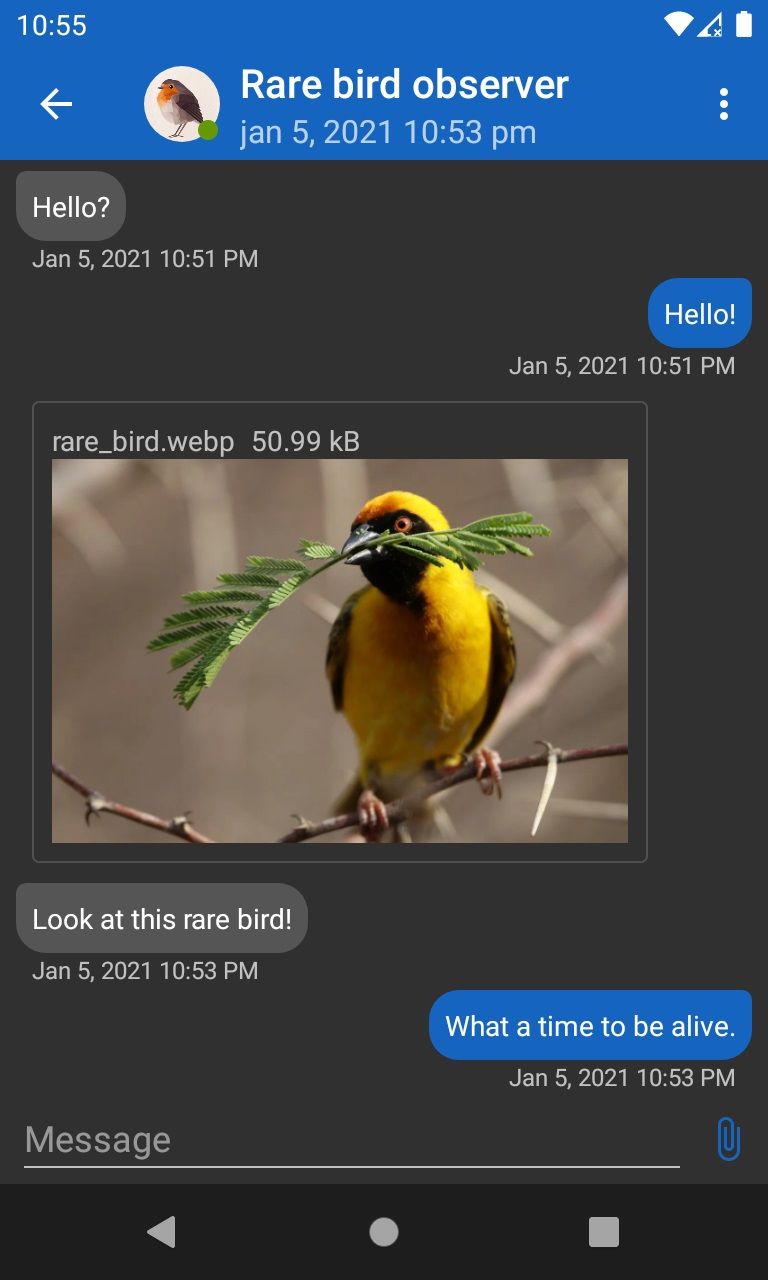 aTox: Free open-source messaging app for the Tox protocol | AlternativeTo