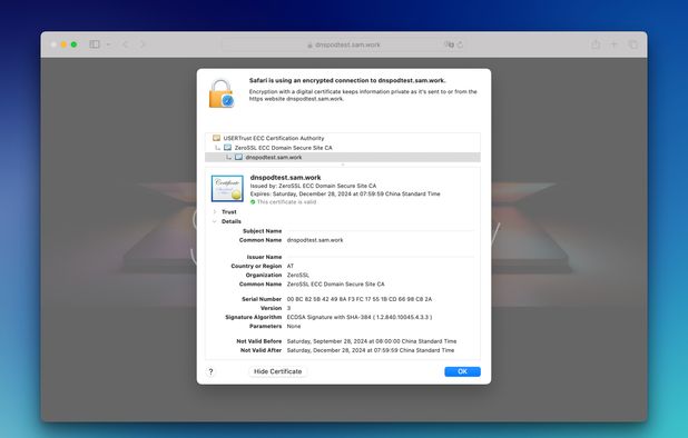 10 Best WampServer Alternatives: Top Web Servers in 2025 | AlternativeTo