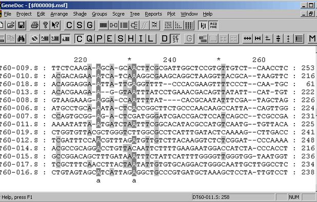 AliView Alternatives - Explore Similar Software | AlternativeTo