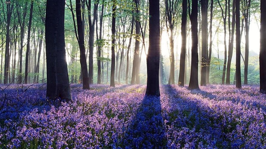 10 Best Classic Shell Alternatives: Top Similar Software in 2023 ...