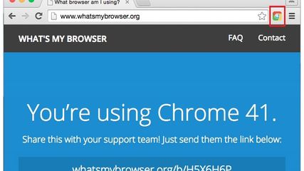 IE Tab Alternatives and Similar Apps | AlternativeTo