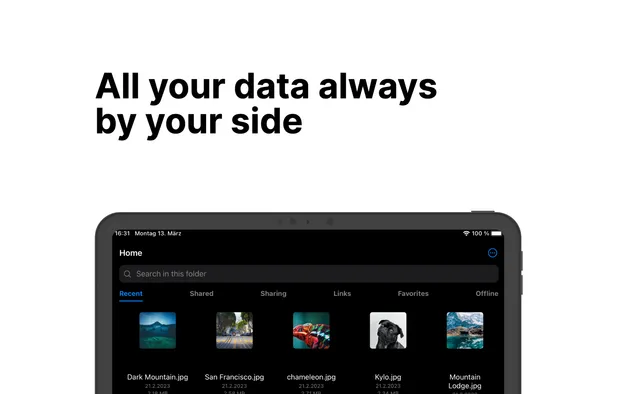 8 Best Nextcloud Alternatives: Top Cloud Storage Services in 2025 | AlternativeTo