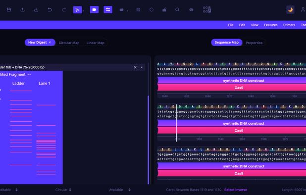 SnapGene Viewer Alternatives - Explore Similar Software | AlternativeTo