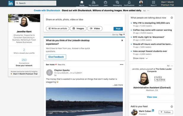 CrunchBase Alternatives and Similar Sites & Apps | AlternativeTo