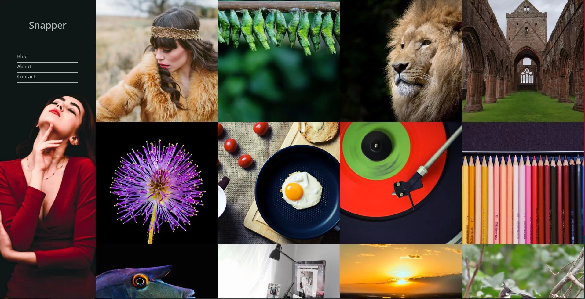 PhotoTheme Alternatives and Similar Sites & Apps | AlternativeTo