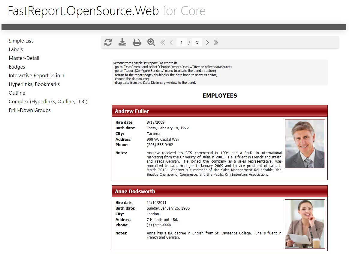 FastReport Open Source Alternatives and Similar Software | AlternativeTo