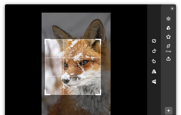 Best GIMP Alternatives: Top Image Editors in 2025 | AlternativeTo