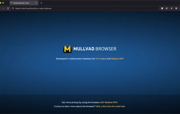 Best Brave Alternatives: Top Web Browsers in 2025 | AlternativeTo