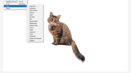 BG Remover: Our Offline AI-powered Background Remover Desktop ...