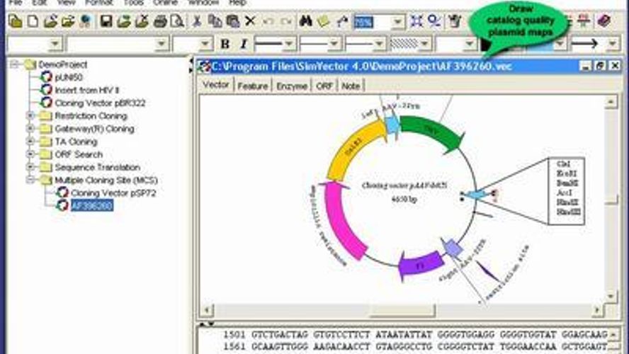 SimVector: Use SimVector to draw plasmid maps, perform | AlternativeTo