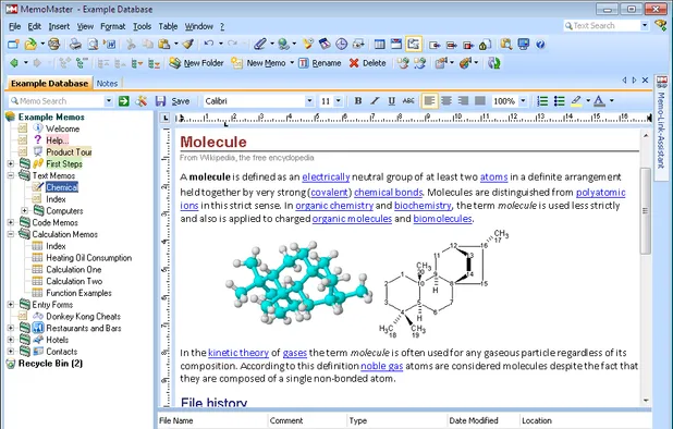 MemoMaster: Free outliner software to create | AlternativeTo
