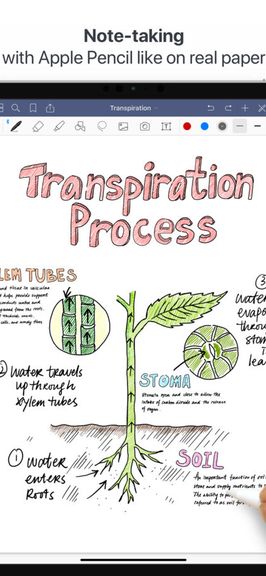 Flexcil Alternatives for Windows: Top 7 Note-taking Tools & PDF Editors ...